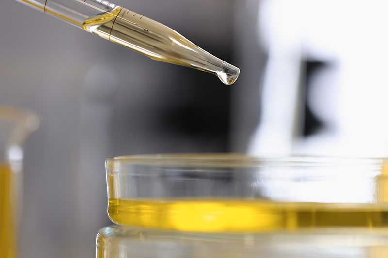 ¿Cuál es la composición química del aceite de oliva? | Hacienda Guzmán