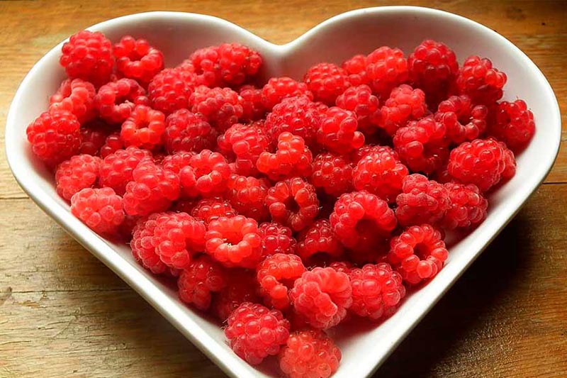 Tendencia ‘Raw Food’: ¿beneficiosa o perjudicial para el organismo ...